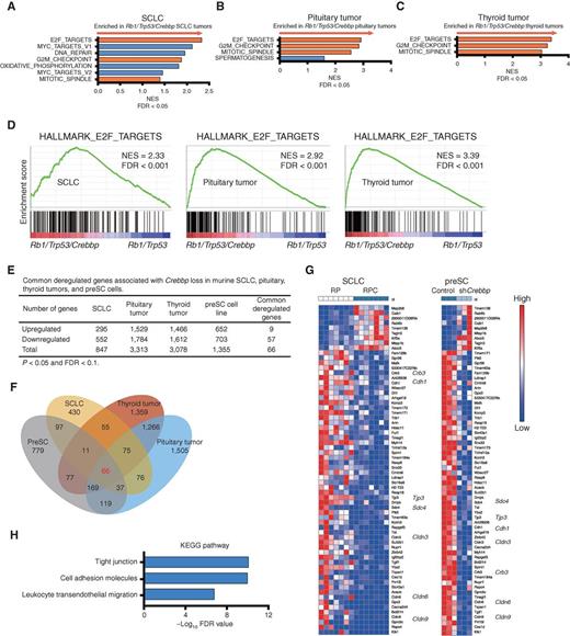 Crebbp Loss Drives Small Cell Lung Cancer and Increases Sensitivity to ...