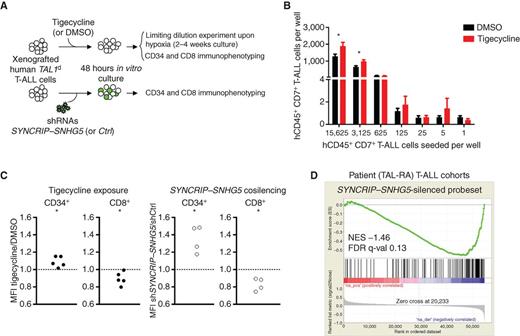 Deletion 6q Drives T-cell Leukemia Progression by Ribosome Modulation ...