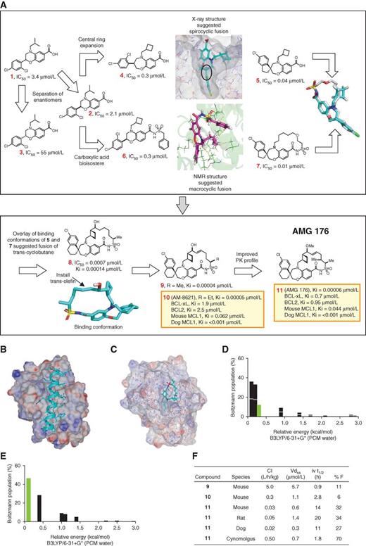 AMG 176, a Selective MCL1 Inhibitor, Is Effective in Hematologic Cancer ...