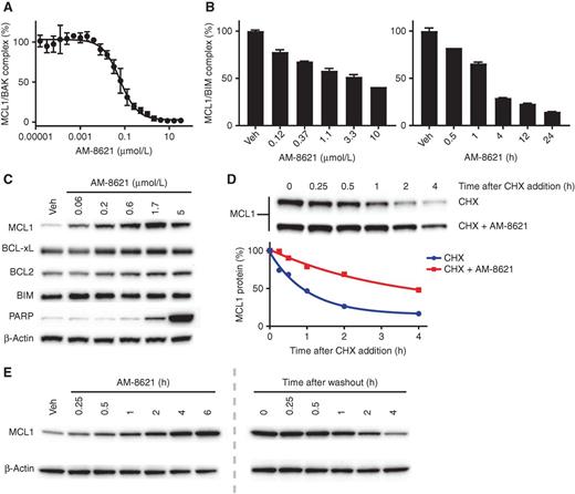 AMG 176, a Selective MCL1 Inhibitor, Is Effective in Hematologic Cancer ...