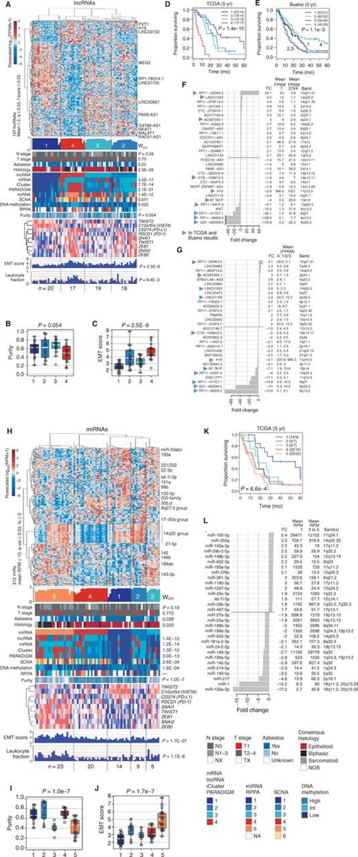 Integrative Molecular Characterization of Malignant Pleural ...