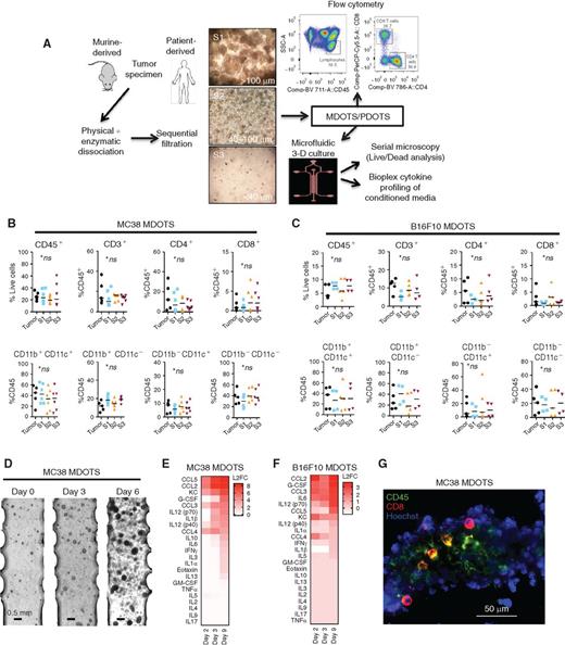 Ex Vivo Profiling of PD-1 Blockade Using Organotypic Tumor Spheroids ...