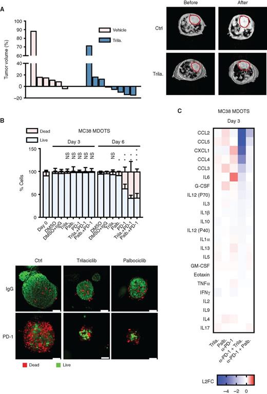 CDK4/6 Inhibition Augments Antitumor Immunity by Enhancing T-cell ...