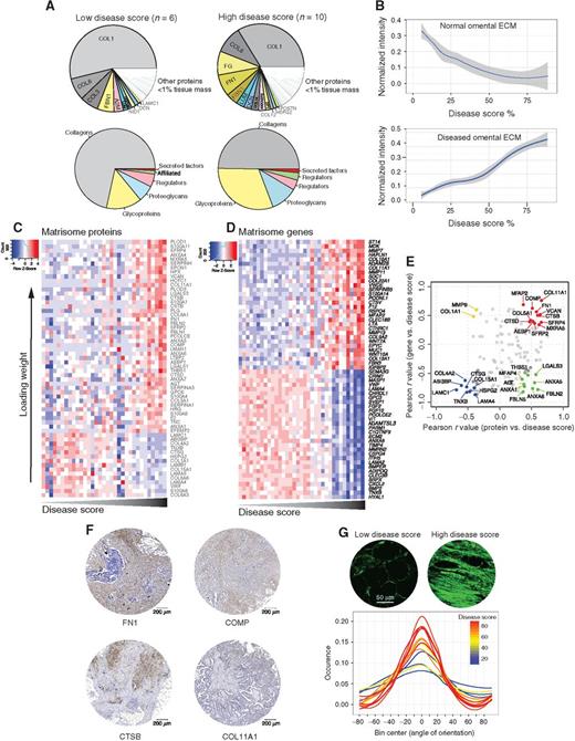 Deconstruction of a Metastatic Tumor Microenvironment Reveals a Common ...