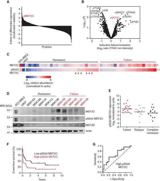 MEF2C Phosphorylation Is Required for Chemotherapy Resistance in Acute ...
