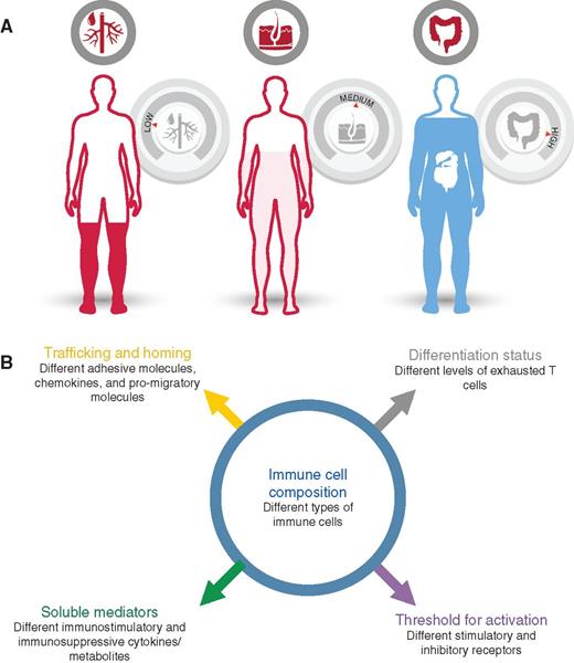 Tissue-Specific Immunoregulation: A Call for Better Understanding of ...