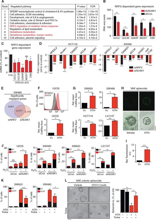 Colorectal Tumors Require NUAK1 for Protection from Oxidative Stress ...