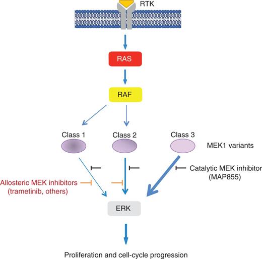 Oncogenic Mutants of MEK1: A Trilogy Unfolds | Cancer Discovery ...