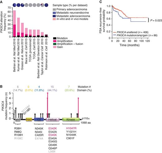 Identification of Pik3ca Mutation as a Genetic Driver of Prostate ...