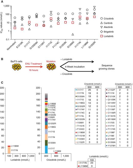 Sequential ALK Inhibitors Can Select for Lorlatinib-Resistant Compound ...
