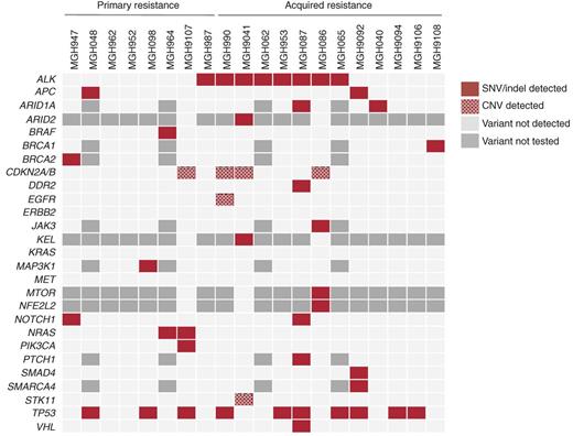 Sequential ALK Inhibitors Can Select for Lorlatinib-Resistant Compound ...