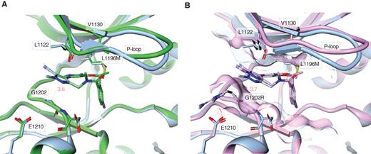 Sequential ALK Inhibitors Can Select for Lorlatinib-Resistant Compound ...