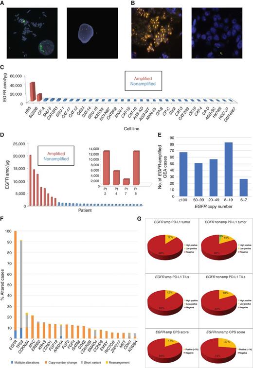 Targeted Therapies for Targeted Populations: Anti-EGFR Treatment for ...