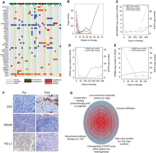 Targeted Therapies for Targeted Populations: Anti-EGFR Treatment for ...