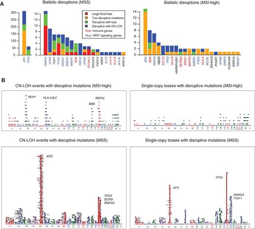 Genetic Mechanisms of Immune Evasion in Colorectal Cancer | Cancer ...