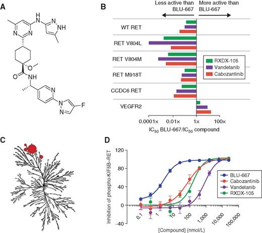 Precision Targeted Therapy with BLU-667 for RET-Driven Cancers | Cancer ...