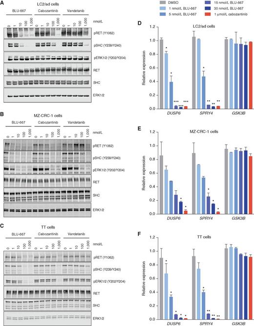 Precision Targeted Therapy with BLU-667 for RET-Driven Cancers | Cancer ...