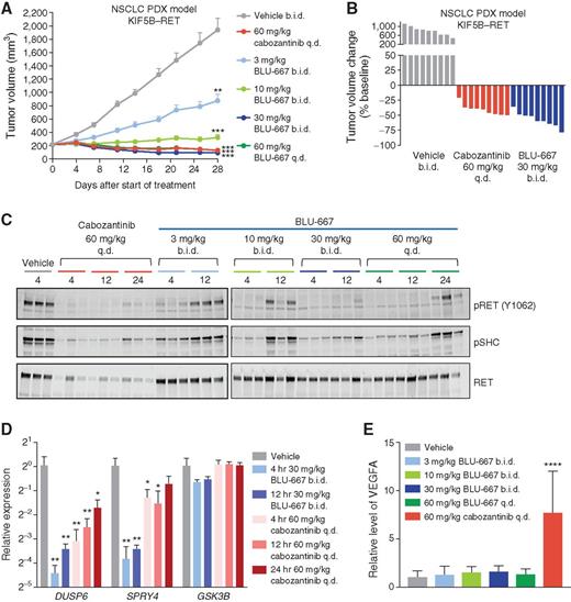 Precision Targeted Therapy with BLU-667 for RET-Driven Cancers | Cancer ...