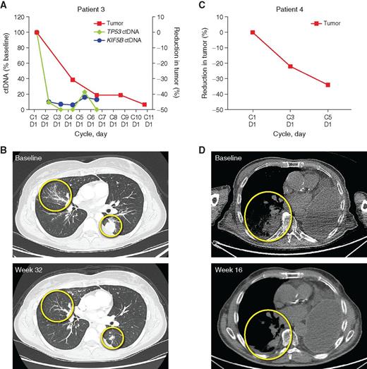 Precision Targeted Therapy with BLU-667 for RET-Driven Cancers | Cancer ...