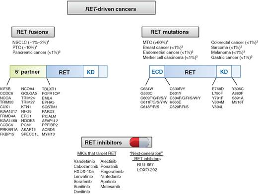 Stop fRETting the Target: Next-Generation RET Inhibitors Have Arrived ...