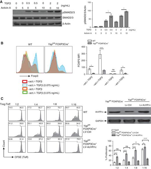 YAP Is Essential for Treg-Mediated Suppression of Antitumor Immunity ...