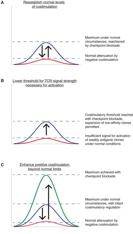 Fundamental Mechanisms of Immune Checkpoint Blockade Therapy | Cancer ...
