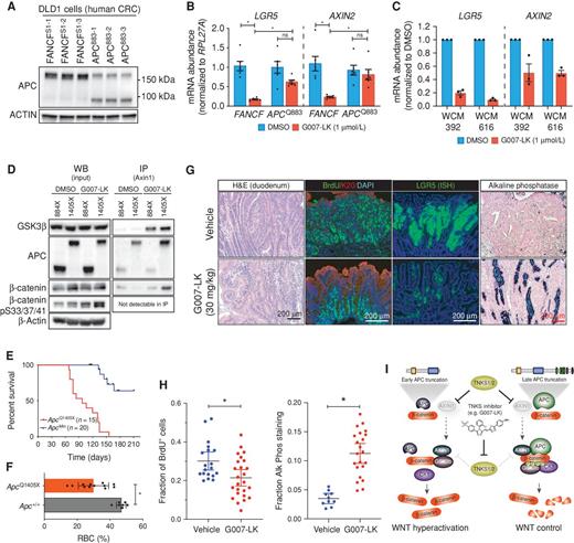 Distinct Colorectal Cancer–Associated APC Mutations Dictate Response to ...