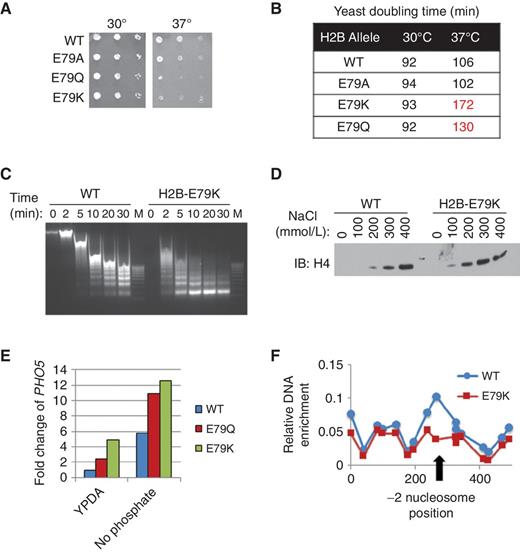 A Mutation in Histone H2B Represents a New Class of Oncogenic Driver ...