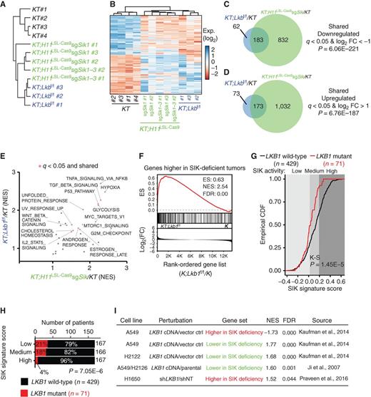 An LKB1–SIK Axis Suppresses Lung Tumor Growth and Controls ...