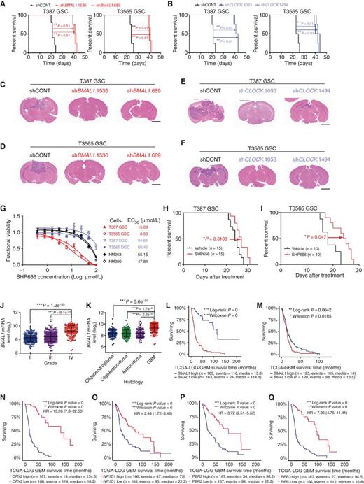 Targeting Glioblastoma Stem Cells through Disruption of the Circadian ...