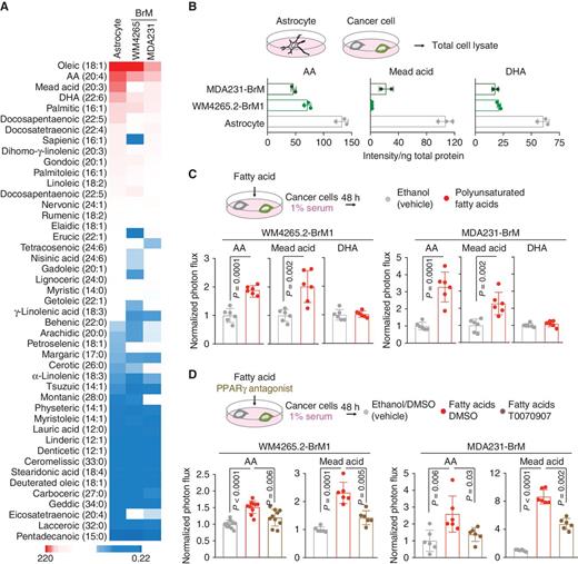 Polyunsaturated Fatty Acids from Astrocytes Activate PPARγ Signaling in ...