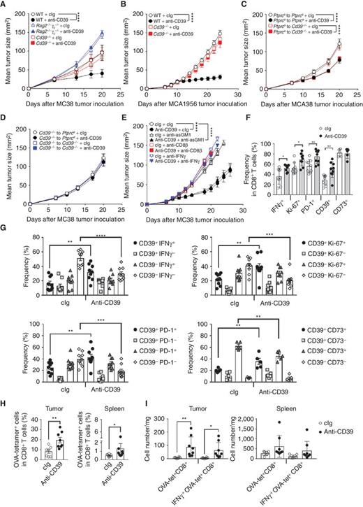 Targeting CD39 in Cancer Reveals an Extracellular ATP- and Inflammasome ...