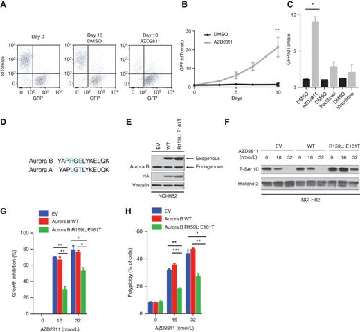 Cells Lacking the RB1 Tumor Suppressor Gene Are Hyperdependent on ...