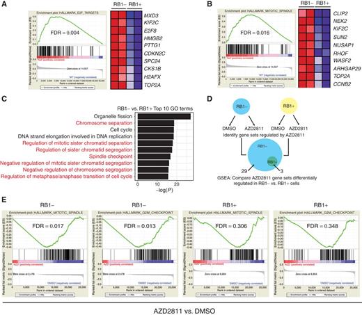 Cells Lacking the RB1 Tumor Suppressor Gene Are Hyperdependent on ...