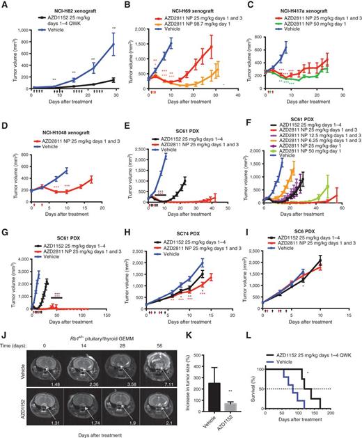 Cells Lacking the RB1 Tumor Suppressor Gene Are Hyperdependent on ...
