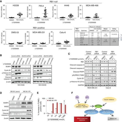 Aurora A Kinase Inhibition Is Synthetic Lethal with Loss of the RB1 ...