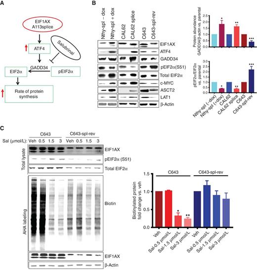 EIF1AX and RAS Mutations Cooperate to Drive Thyroid Tumorigenesis ...