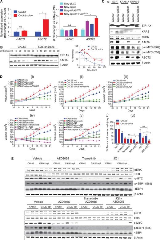 EIF1AX and RAS Mutations Cooperate to Drive Thyroid Tumorigenesis ...