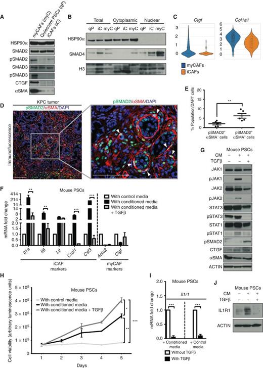 IL1-Induced JAK/STAT Signaling Is Antagonized by TGFβ to Shape CAF ...