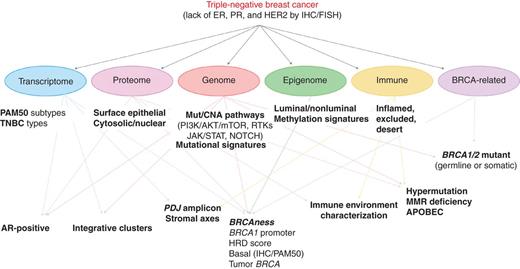 Insights into Molecular Classifications of Triple-Negative Breast Cancer: Improving Patient ...