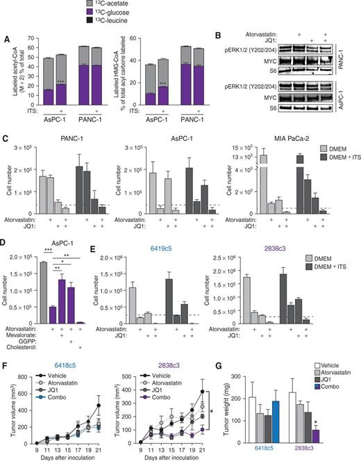 Acetyl-CoA Metabolism Supports Multistep Pancreatic Tumorigenesis ...