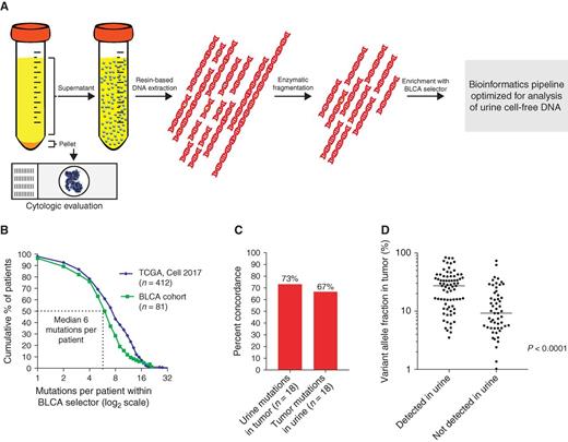 Detection and Surveillance of Bladder Cancer Using Urine Tumor DNA ...