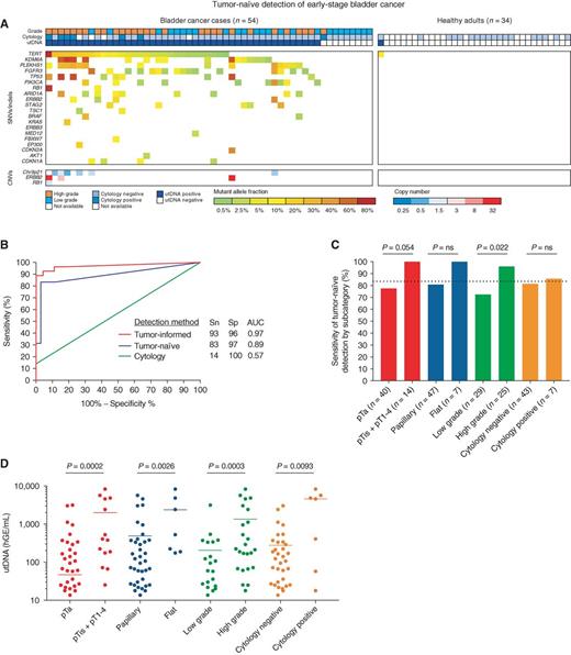 Detection and Surveillance of Bladder Cancer Using Urine Tumor DNA ...