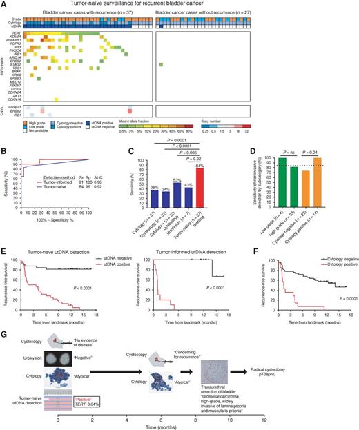 Detection and Surveillance of Bladder Cancer Using Urine Tumor DNA ...