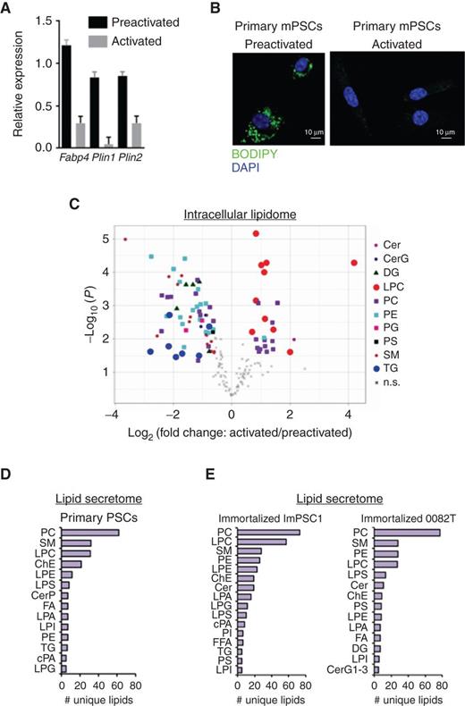 A Stromal Lysolipid–Autotaxin Signaling Axis Promotes Pancreatic Tumor ...