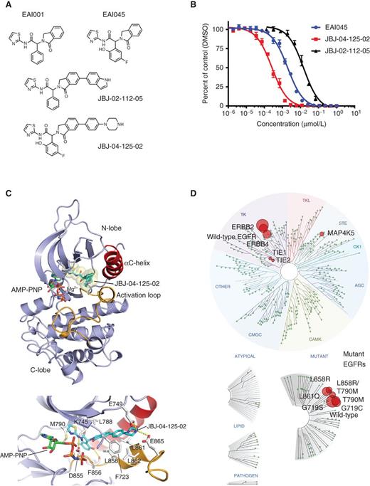 Single and Dual Targeting of Mutant EGFR with an Allosteric Inhibitor ...