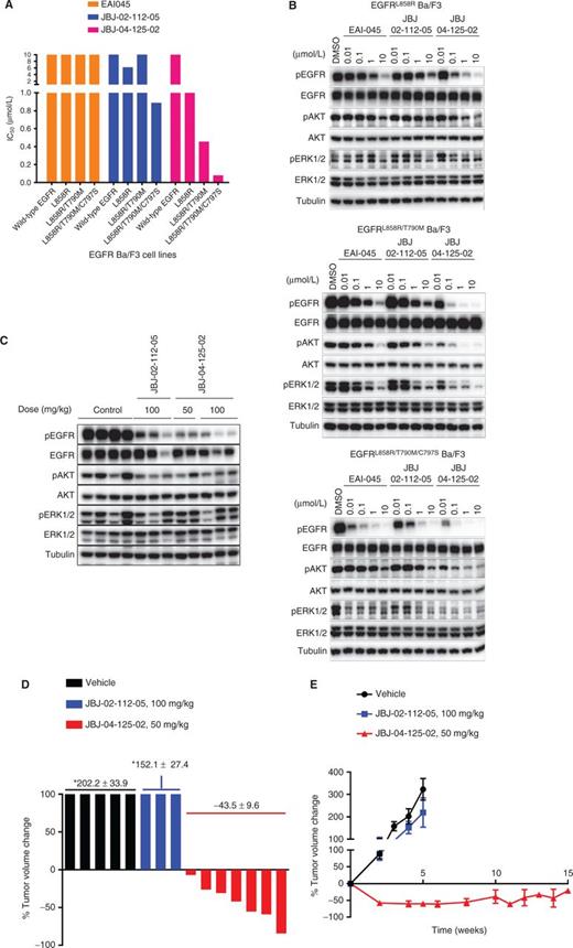 Single and Dual Targeting of Mutant EGFR with an Allosteric Inhibitor ...