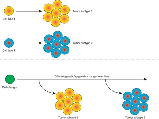 Cellular Plasticity in Cancer | Cancer Discovery | American Association ...