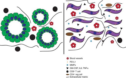 Cellular Plasticity in Cancer | Cancer Discovery | American Association ...