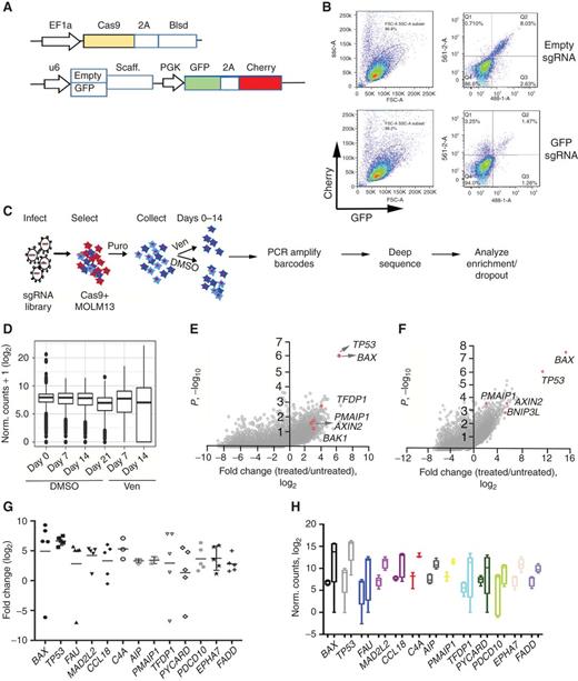 The TP53 Apoptotic Network Is a Primary Mediator of Resistance to BCL2 ...